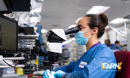 ApprenticeshipNH collaborates with BAE Systems - ApprenticeshipNH